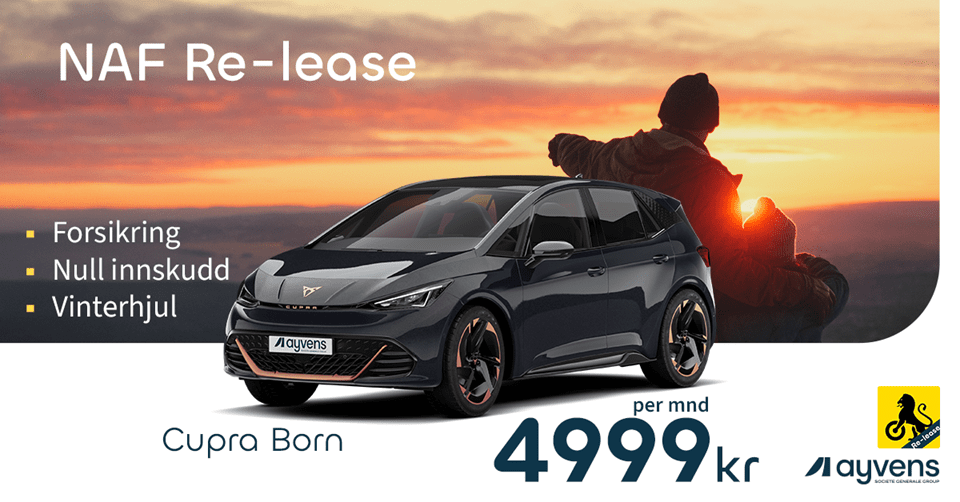 Car leasing and fleet management | Ayvens Norway