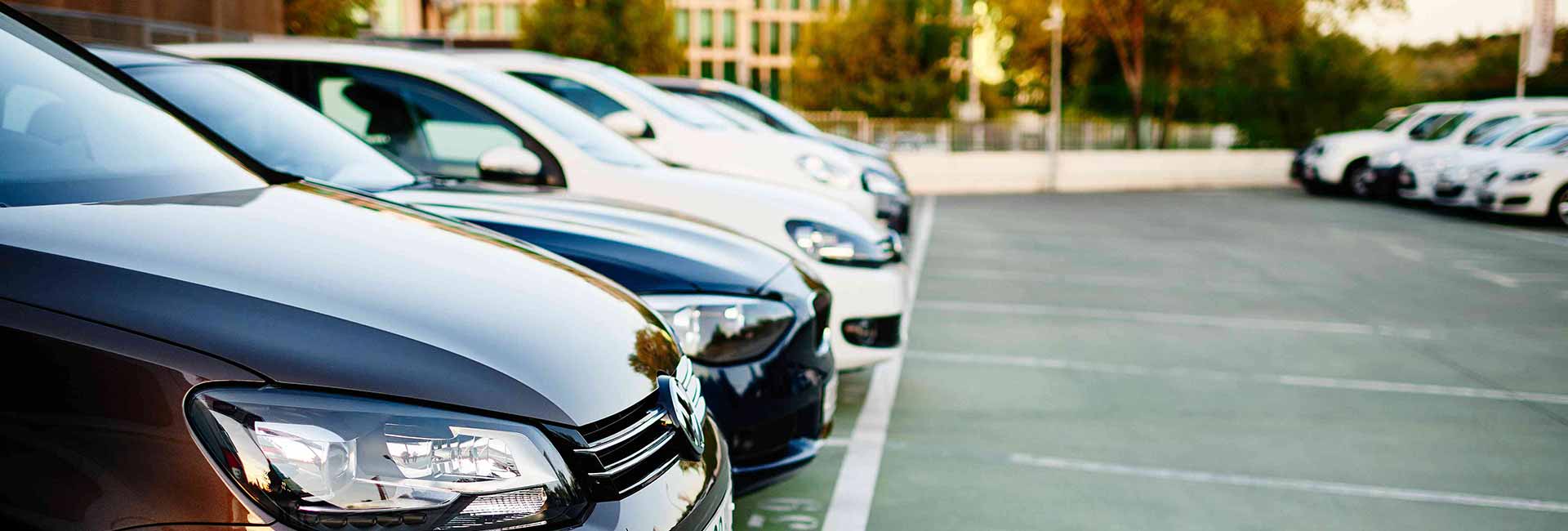 Categorie auto a noleggio: come scegliere quella giusta | Ayvens Italia ...